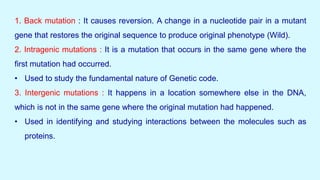 Mutations | PPT