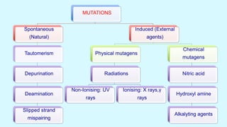 Mutations | PPT