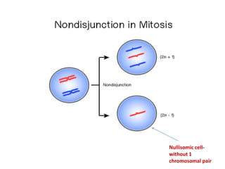 Nondisjunction Mutation