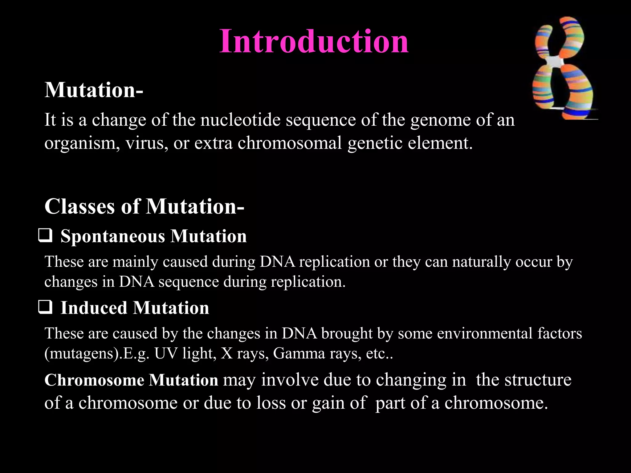 Mutations.ppt