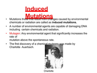 mutations.pptx
