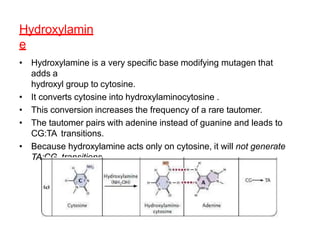 mutations.pptx
