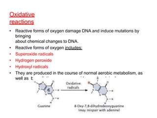 mutations.pptx