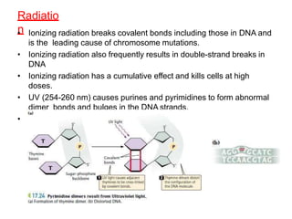 mutations.pptx