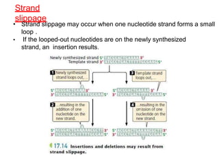 mutations.pptx