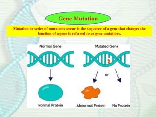Mutations.pdf