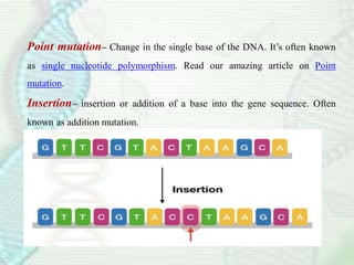 Mutations.pdf