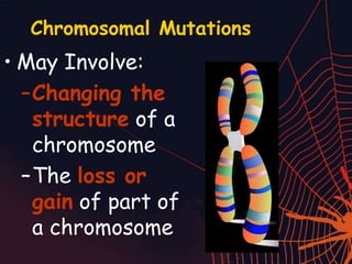 Mutation - Types Chromosomal and gene mutation | PPT | Infertility ...