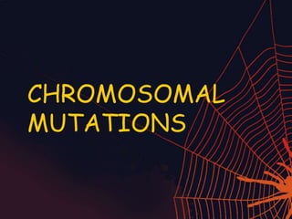Mutation - Types Chromosomal and gene mutation | PPT | Infertility ...