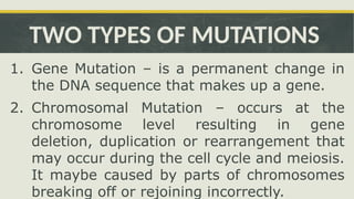 MUTATION-SCIENCE 8 POWERPOINT PRESENT | PPTX