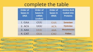 PowerPoint Presentation on Mutations.pptx