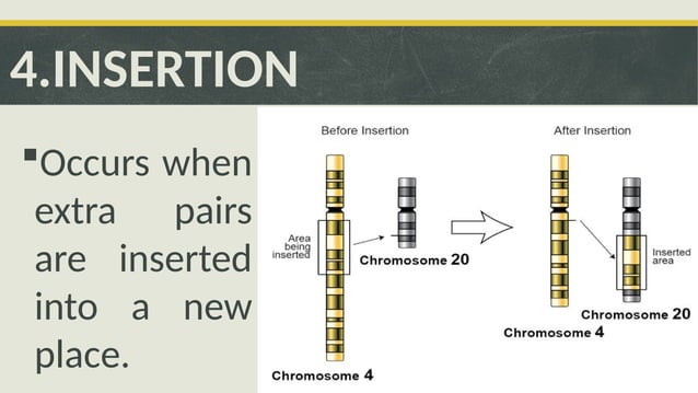 MUTATIONS -SCIENCE 10 POWERPOINT PRESENT | PPTX