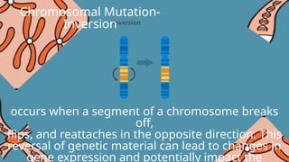 PowerPoint presentation for Mutation and its classifications. | PPTX