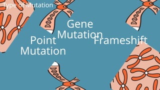 PowerPoint presentation for Mutation and its classifications. | PPTX