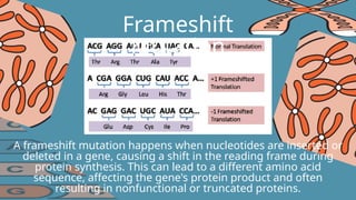 PowerPoint presentation for Mutation and its classifications. | PPTX