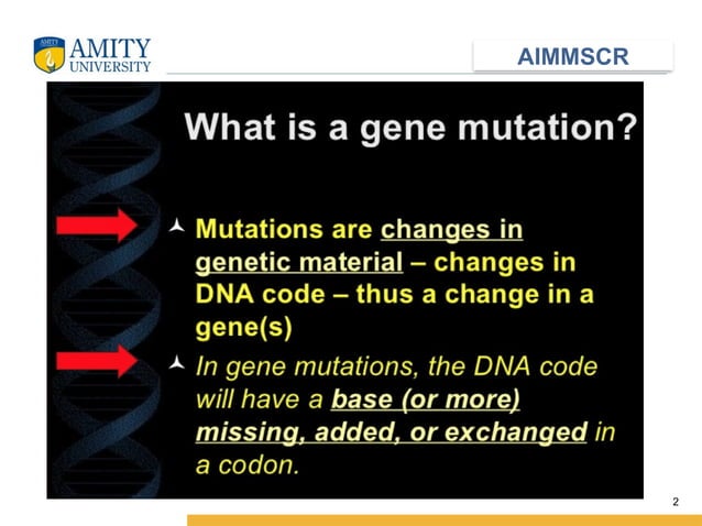 Mutations-L1. Oncology and its concepts.pptx