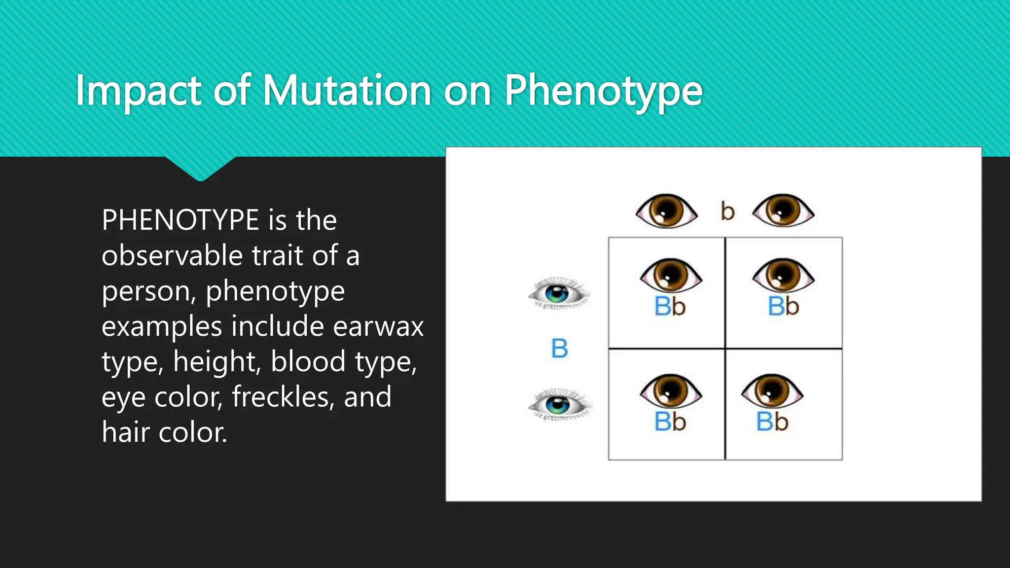 Science Mutations That Occur In Sex Cells Pptx Infertility