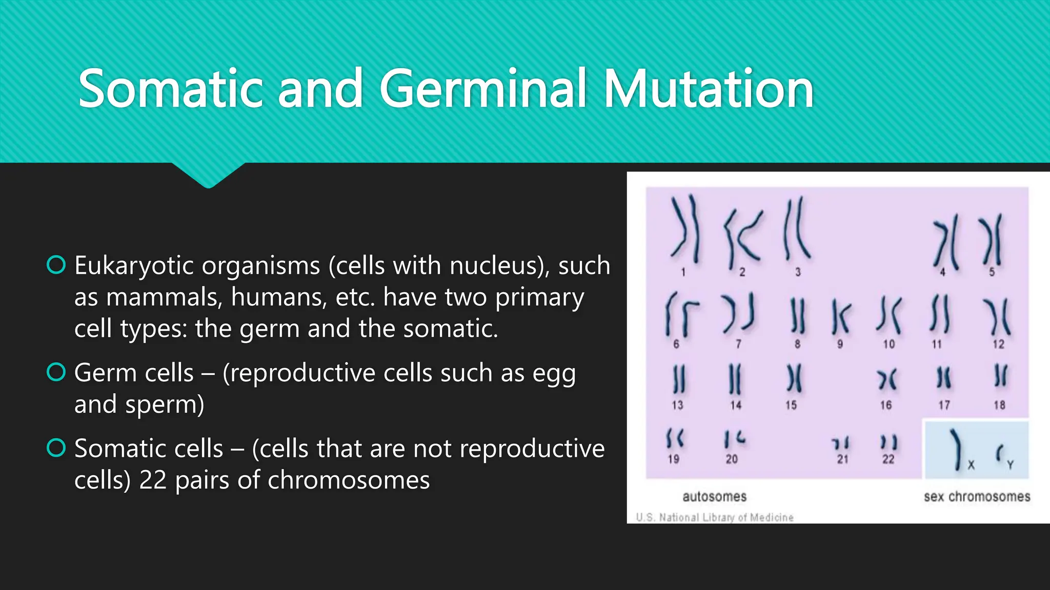 Science Mutations That Occur In Sex Cells Pptx Infertility Reproductive Health