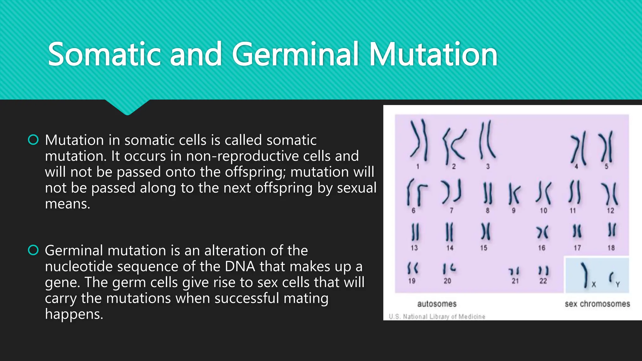 (SCIENCE) Mutations-that-occur-in-sex-cells.pptx | Infertility ...
