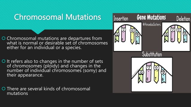 Science Mutations That Occur In Sex Cells Pptx Infertility Reproductive Health