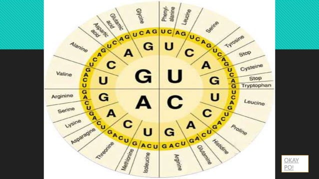 Science Mutations That Occur In Sex Cells Pptx Infertility Reproductive Health