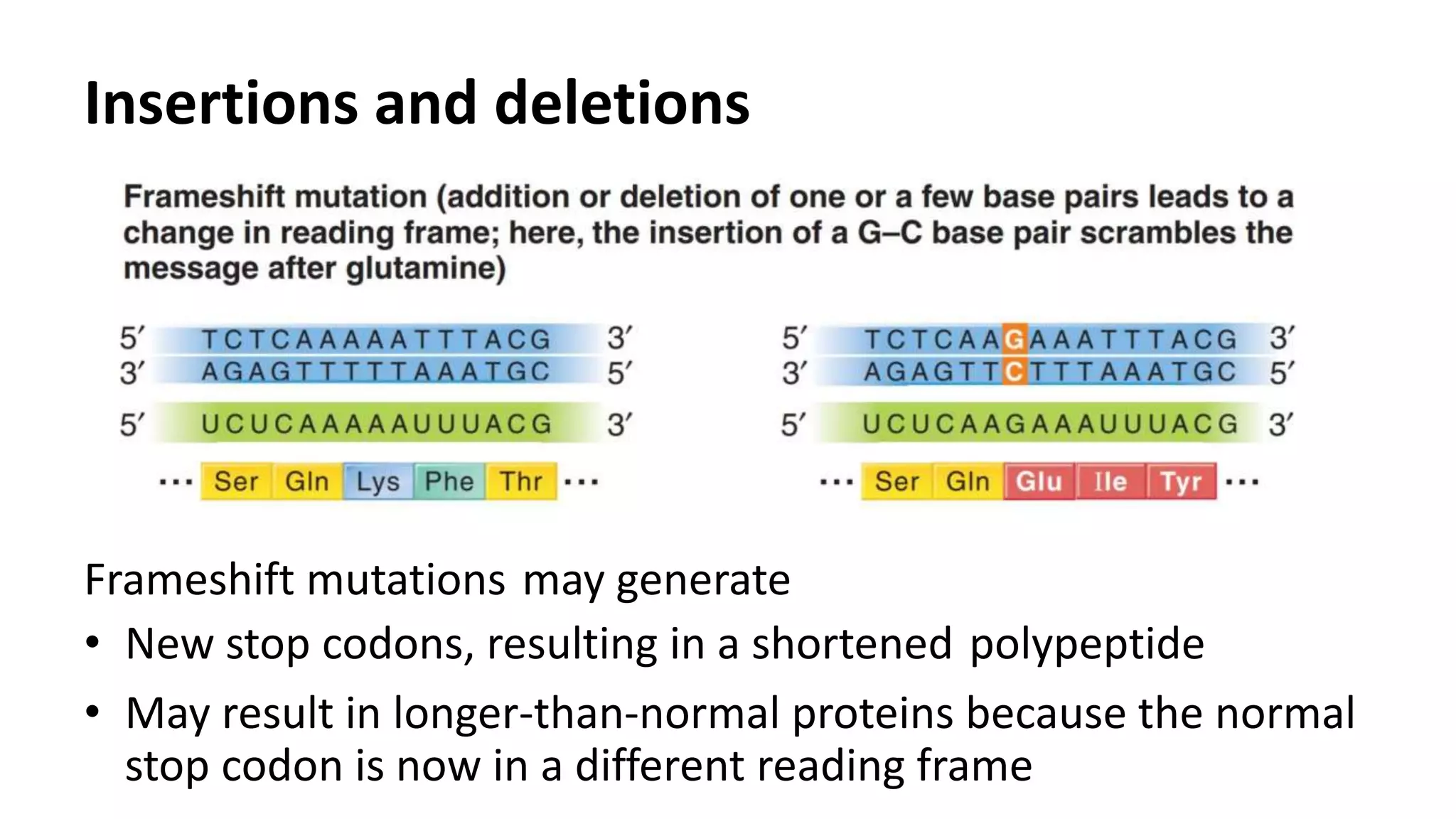 Nature and types of (DNA) mutations | PPTX