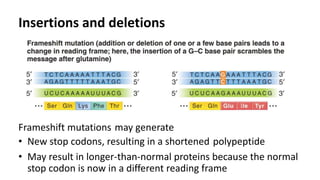 Nature and types of (DNA) mutations | PPTX