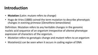 Nature and types of (DNA) mutations | PPTX