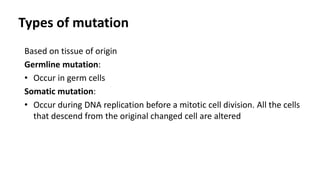 Nature and types of (DNA) mutations | PPTX