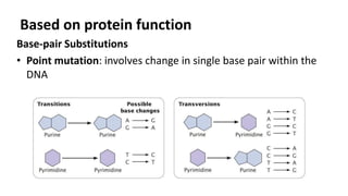Nature and types of (DNA) mutations | PPTX