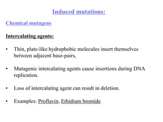 mutations.ppt