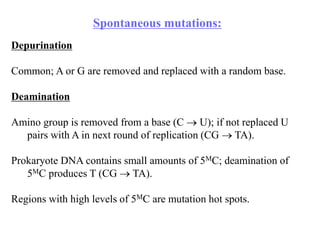 mutations.ppt
