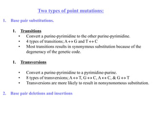 mutations.ppt