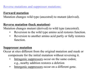 mutations.ppt