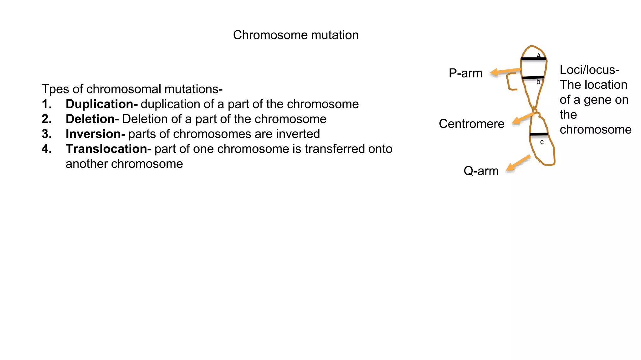 Mutations and disorders | PPTX