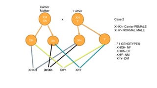 Mutations and disorders | PPTX