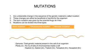 Mutations and disorders | PPTX