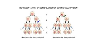 Mutations and disorders | PPTX