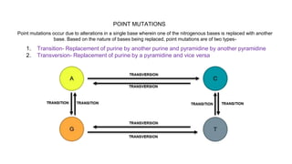 Mutations and disorders | PPTX