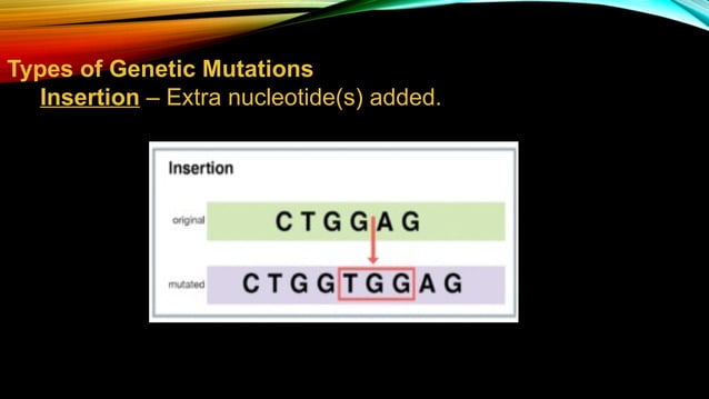 Mutations and disorder a presentation about mutation | PPTX