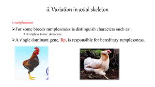 Mutations and major variants of skeleton in chicken | PPTX