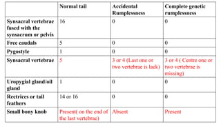 Mutations and major variants of skeleton in chicken | PPTX