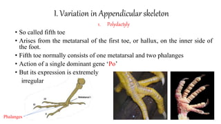 Mutations and major variants of skeleton in chicken | PPTX