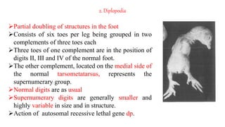 Mutations and major variants of skeleton in chicken | PPTX