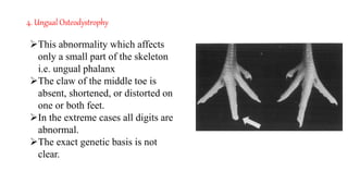 Mutations and major variants of skeleton in chicken | PPTX