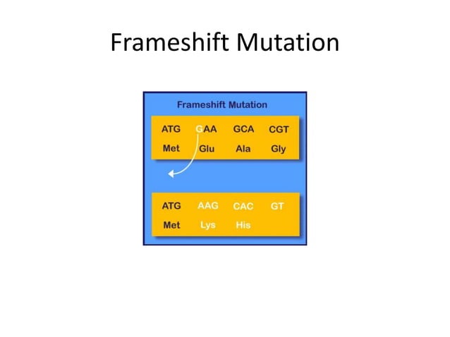 Mutations And Mutagenesis Mph 19 1 15