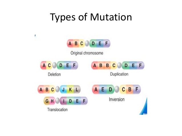 Mutations and mutagenesis MPH 19 1-15