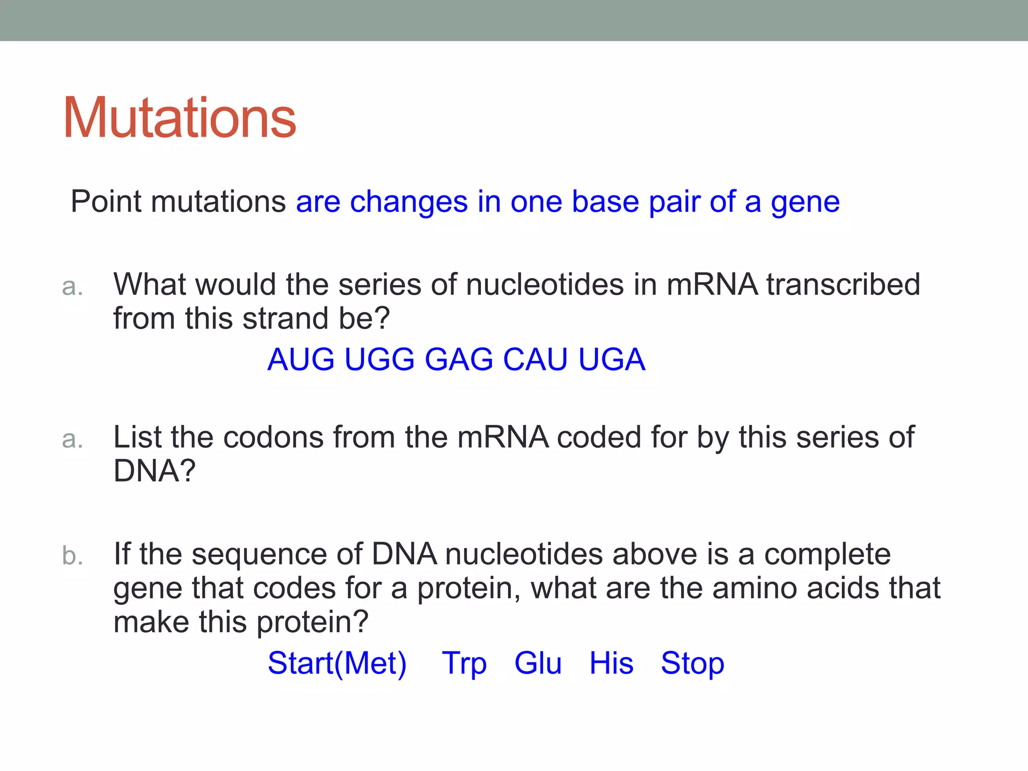 Mutations and Proteins slide | PPT