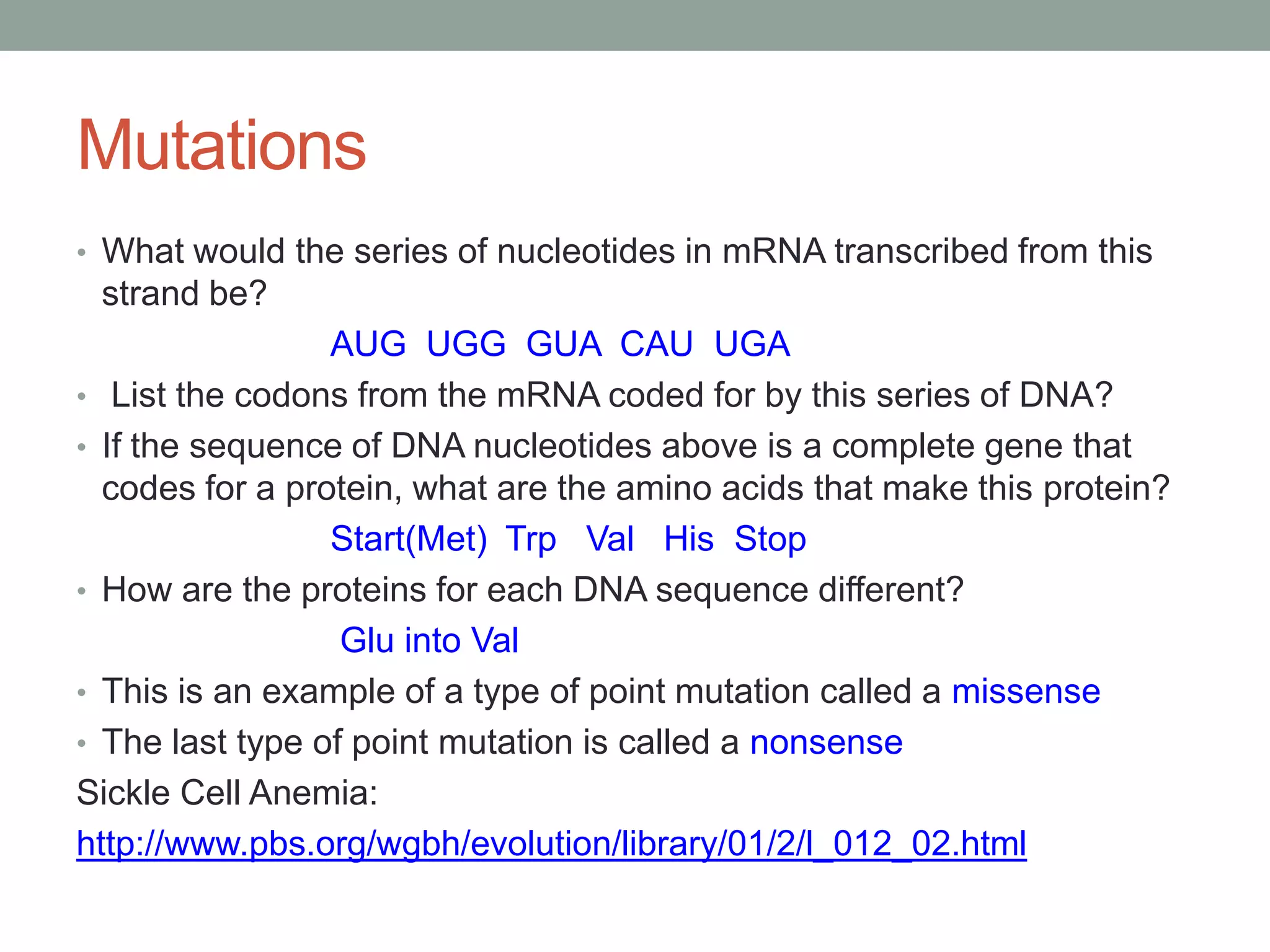 Mutations and Proteins slide | PPT