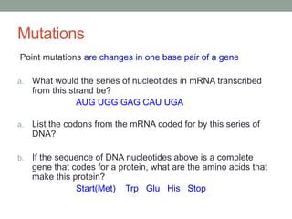 Mutations and Proteins slide | PPT